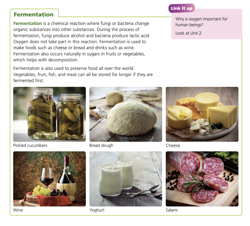Chemical reactions – Class, Class, Yes, Yes